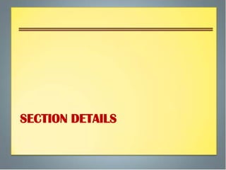 Ple Presentation | PDF