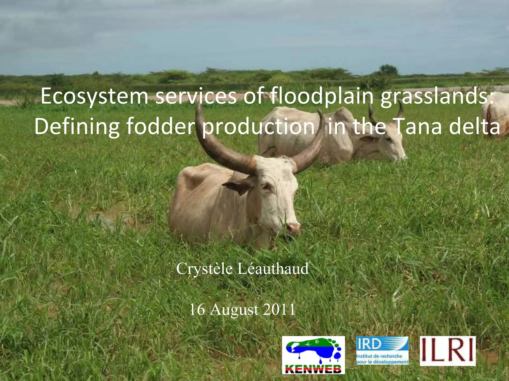 Ecosystem services of floodplain grasslands: Defining fodder production ...