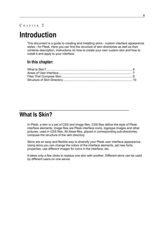 Plesk Custom Skins | PDF