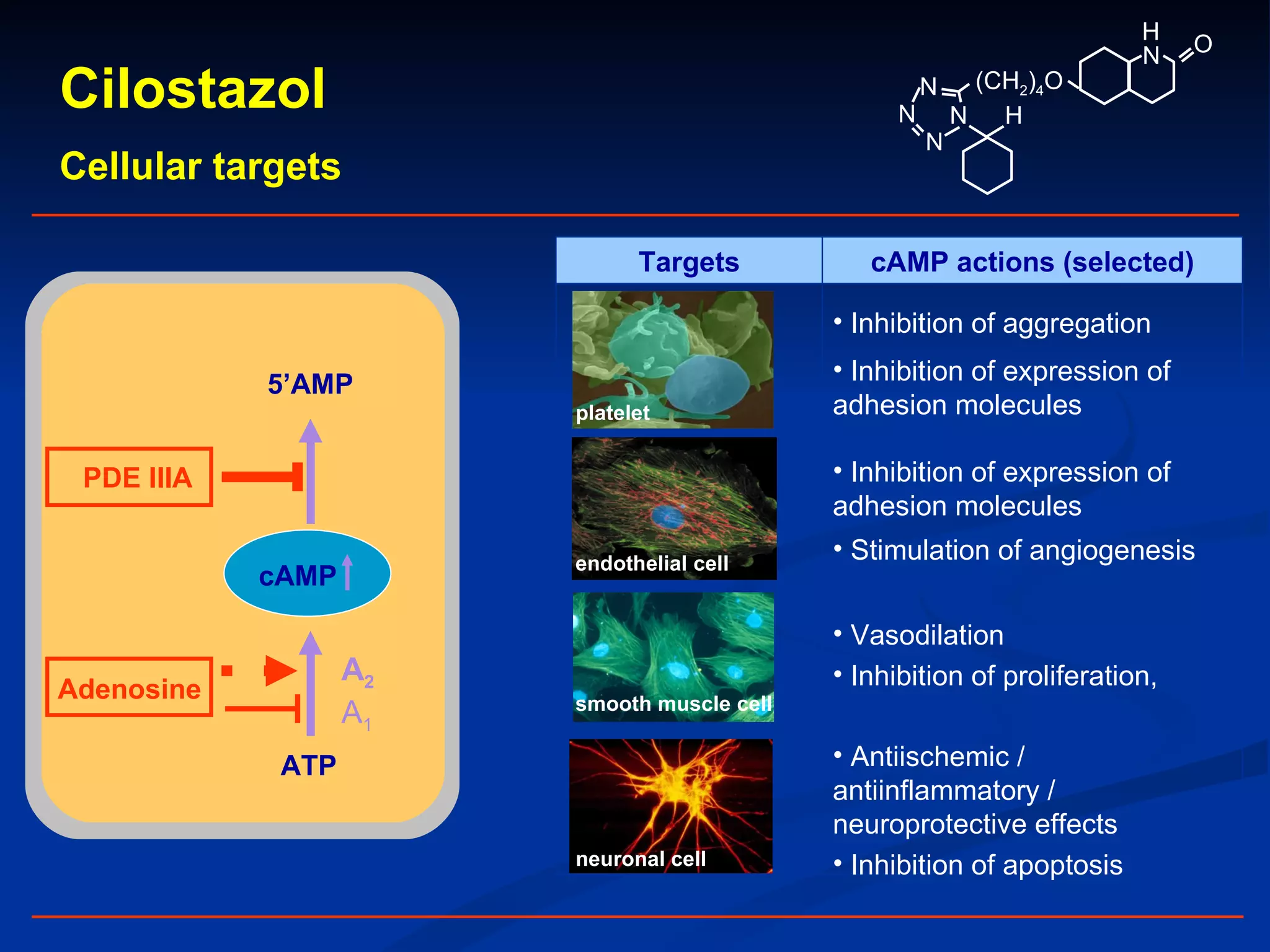 Pletaal (cilostazol) utk dokter.ppt (a) | PPT