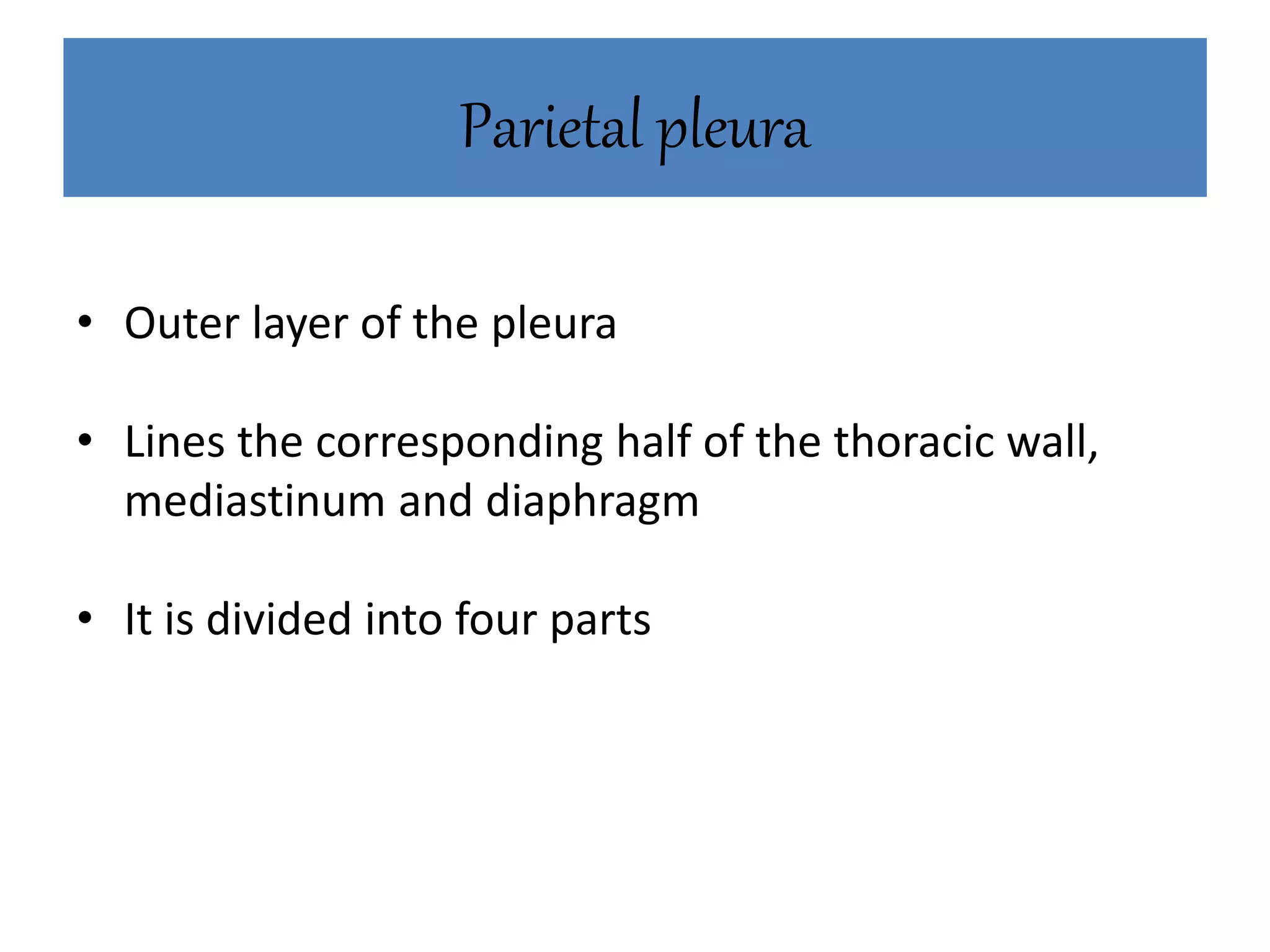 Pleura | PPTX