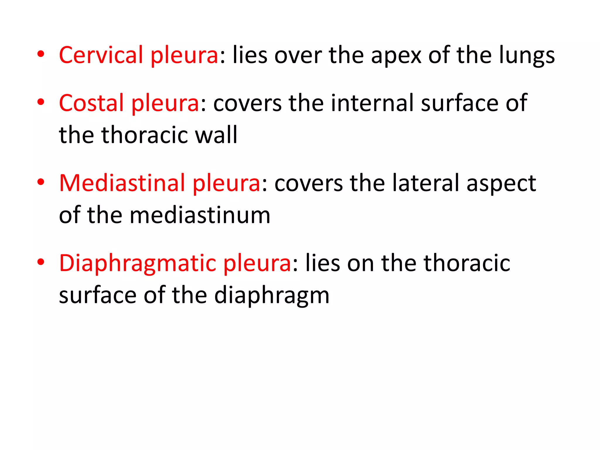 Pleura | PPTX