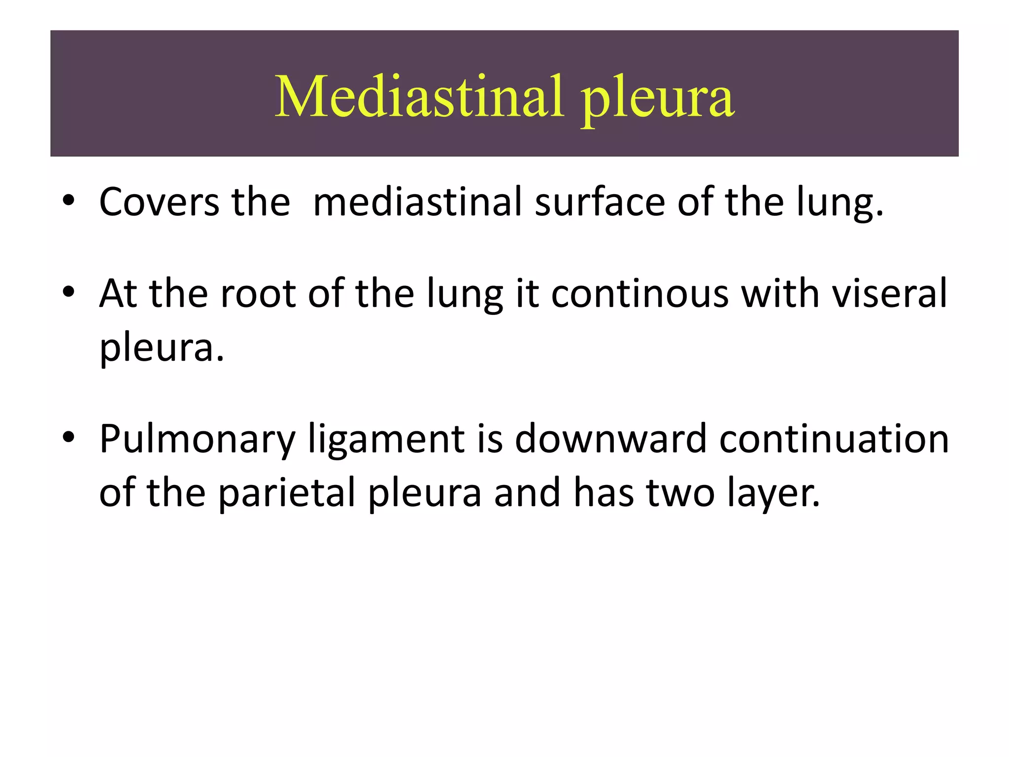 Pleura | PPTX
