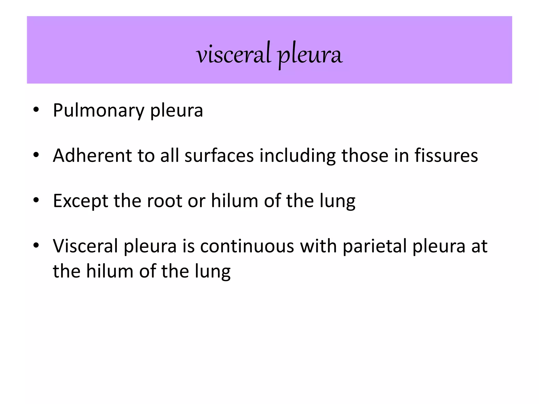 Pleura | PPTX
