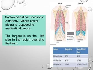 pleura.pptx