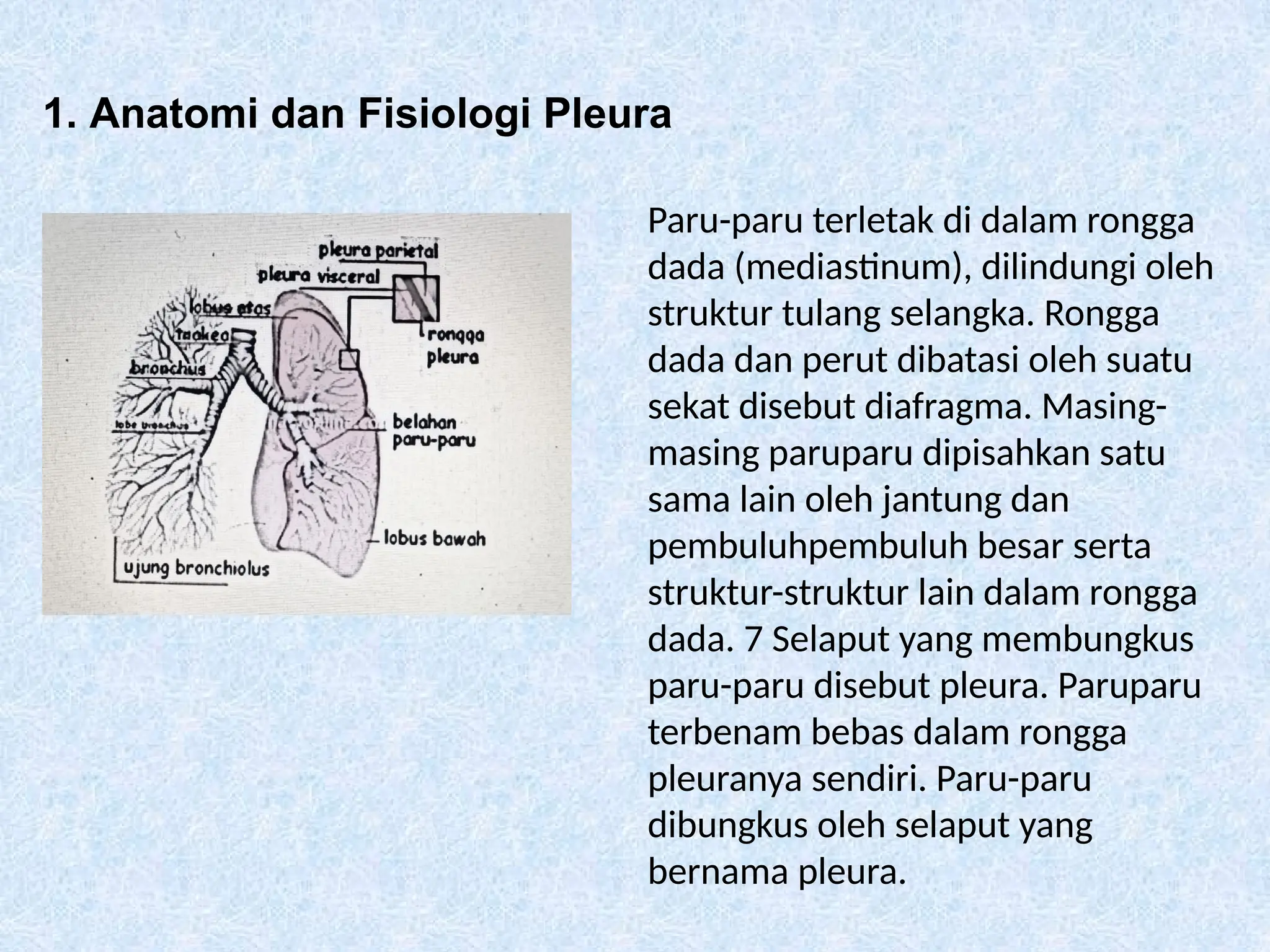 power point askep pada klien efusi pleura.pptx