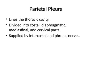 Pleura_Anatomy_Lecture for college students | PPTX
