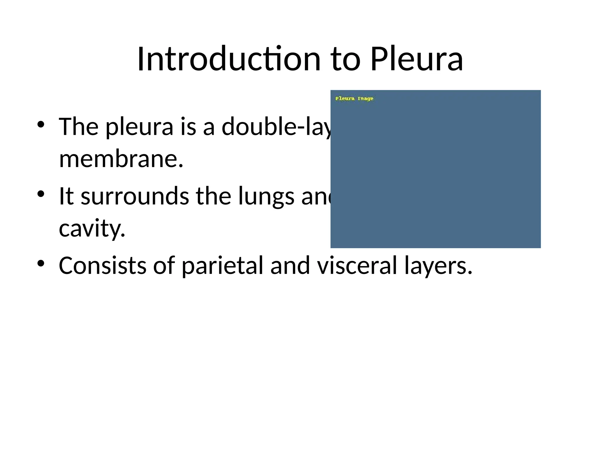 Pleura_Anatomy_Lecture_with_Images for college | PPTX