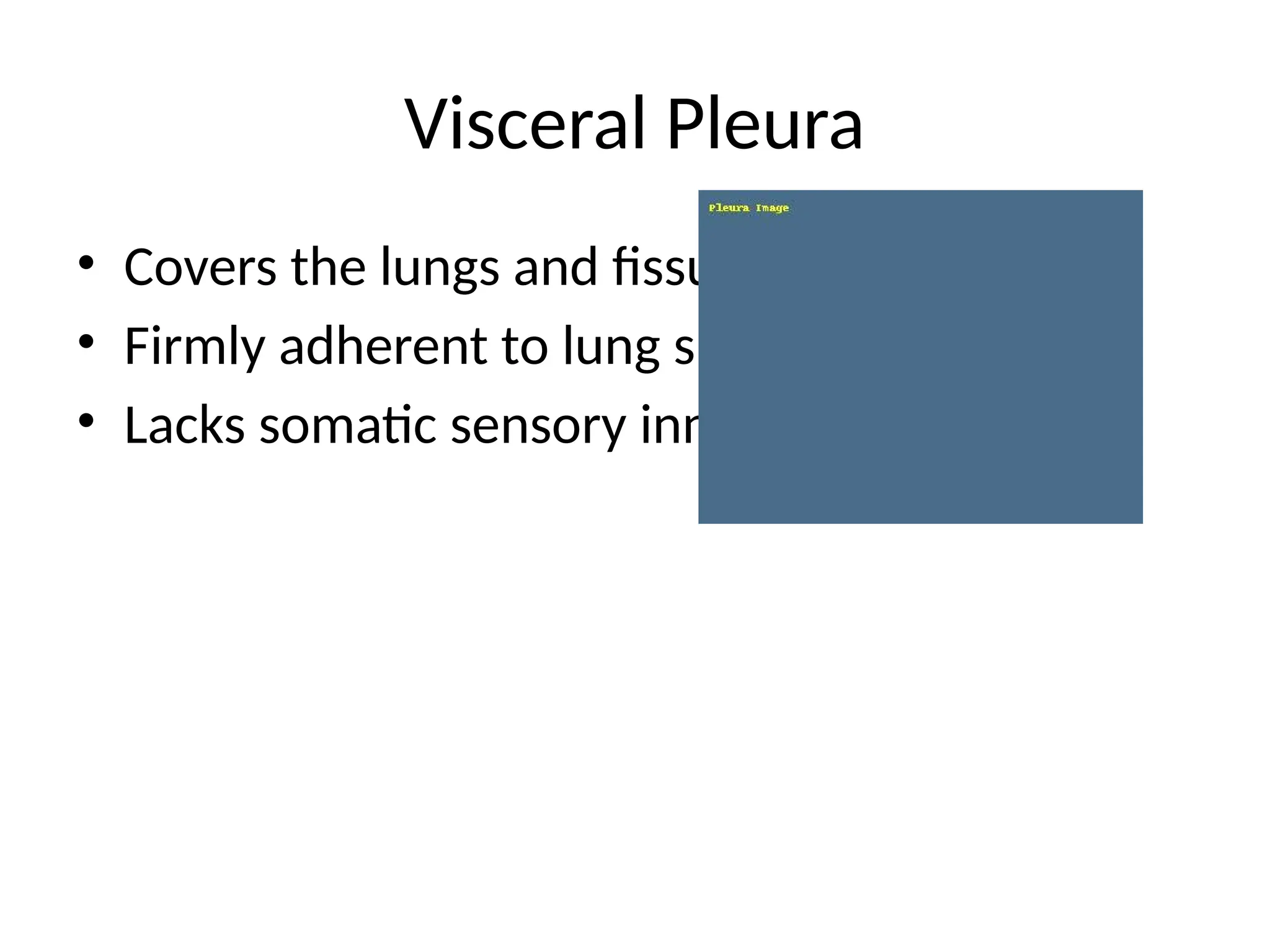Pleura_Anatomy_Lecture_with_Images for college | PPTX