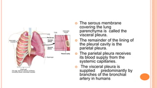 Pleural effusion | PPTX