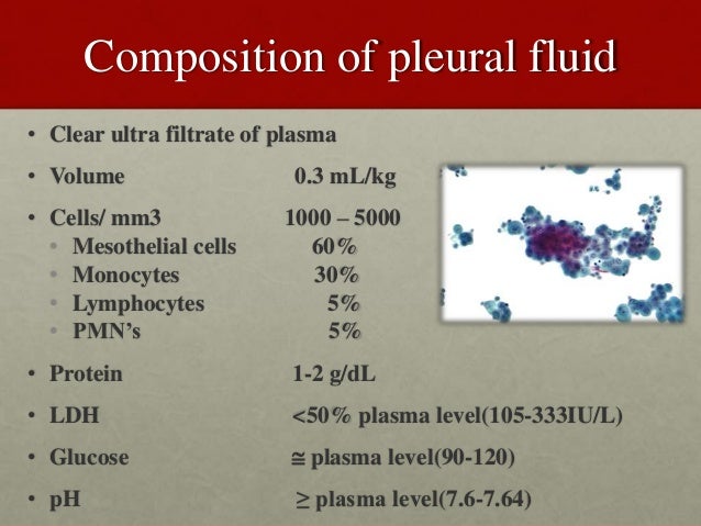 Pleural effusion