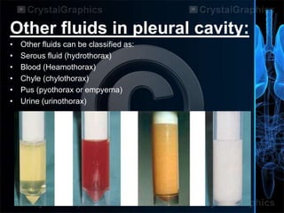 Pleural effusion | PPTX