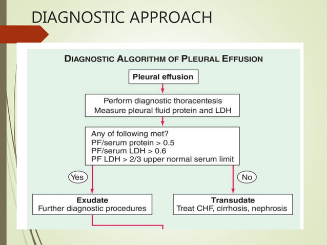 Pleural effusion | PPTX | Lung and Respiratory Health | Diseases and ...