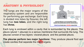 pleural effusion definition, medical management.pptx