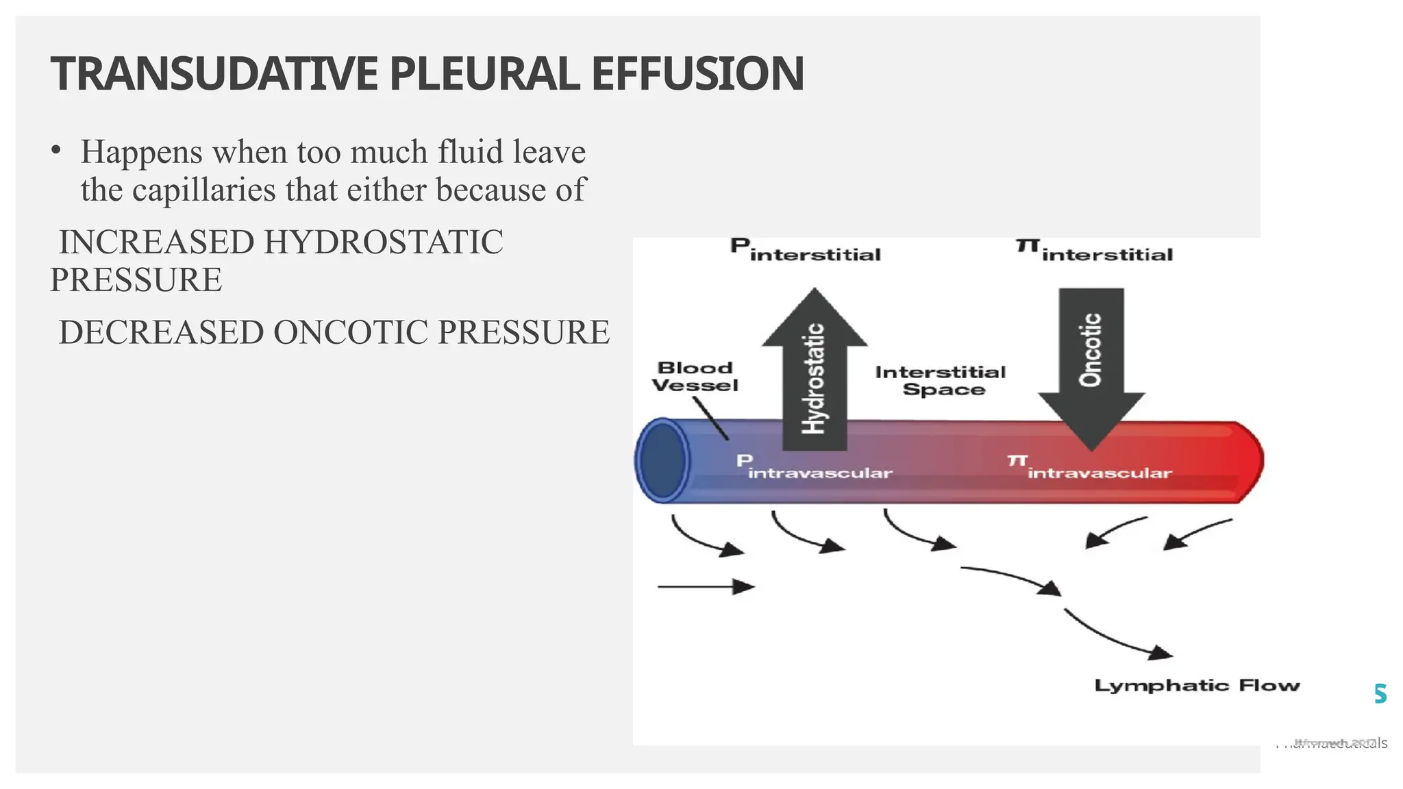 Pleural effusion / Dr maria shaju/ lung pleura | PPTX