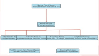 A detailed slide on Pleural Effusion.pptx