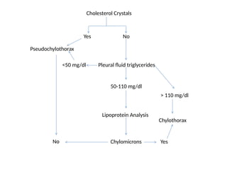 PLEURAL EFFUSION (1).. powerpoint presentations | PPTX