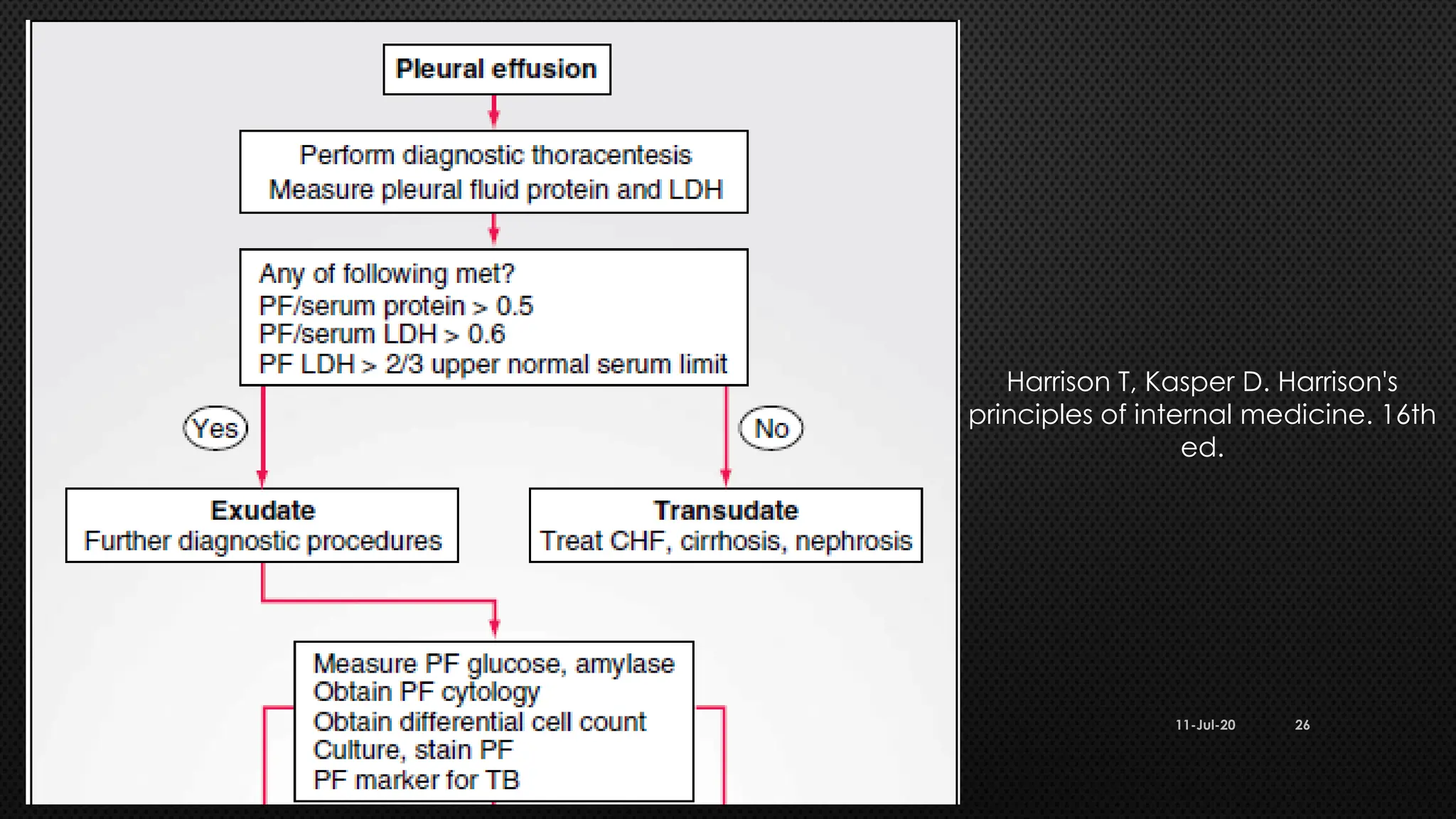 Pleural effusion by Aina- Tolofari Funmilayo Ayodeji | PDF