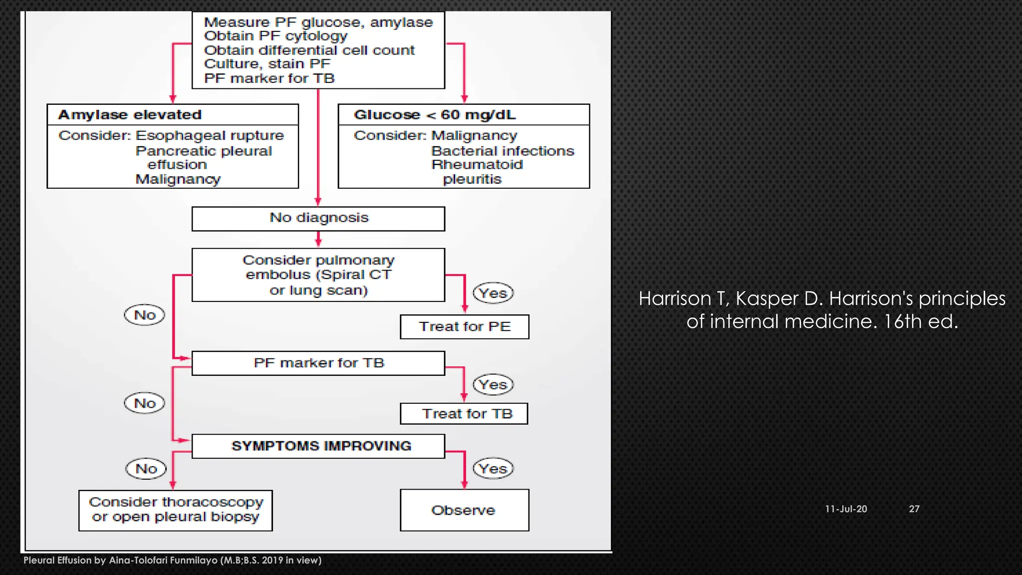 Pleural effusion by Aina- Tolofari Funmilayo Ayodeji | PDF