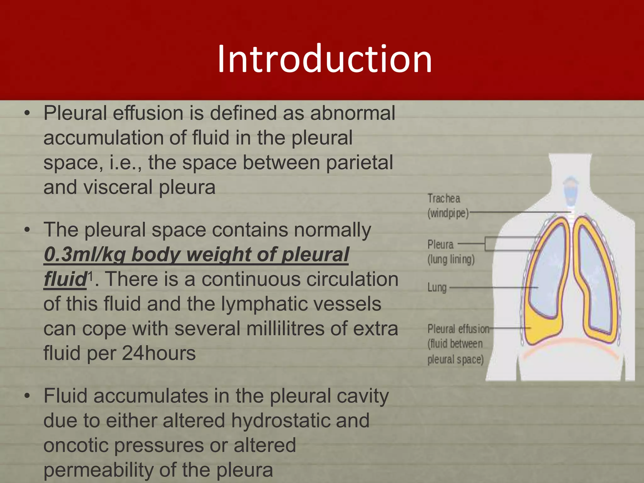 Pleural Effusion for Undergraduates | PPTX