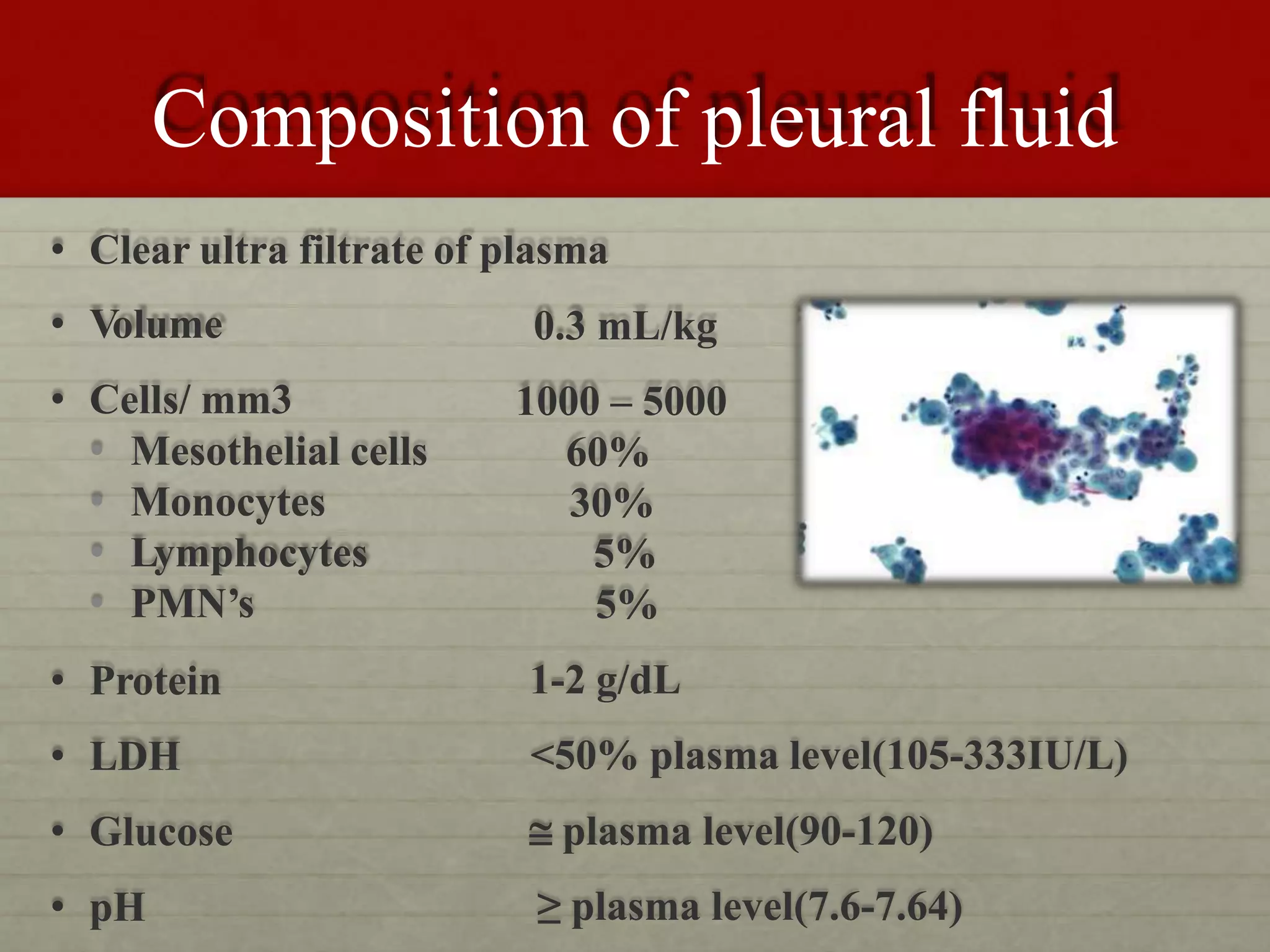 Pleural Effusion for Undergraduates | PPTX