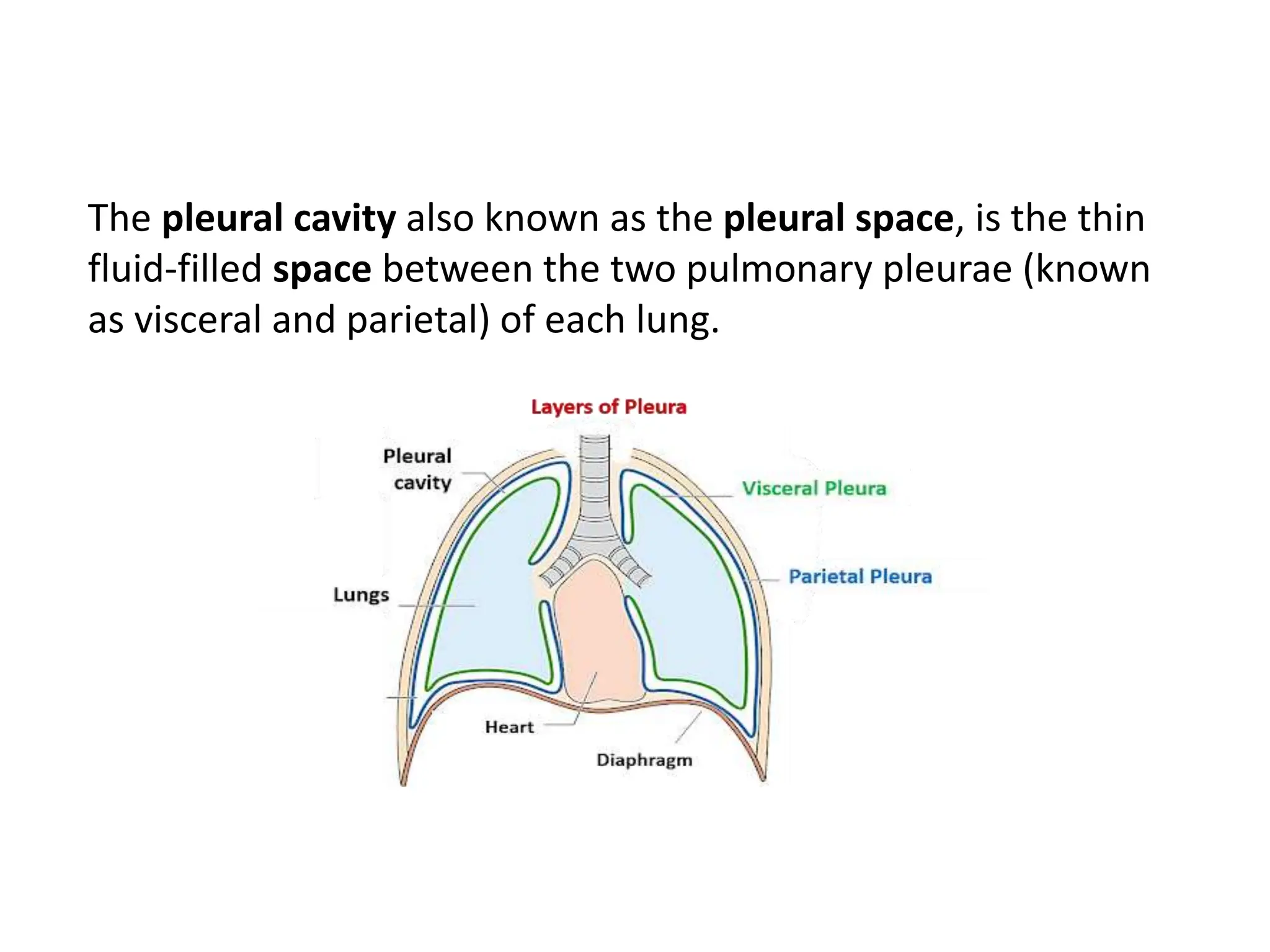 PLEURAL EFFUSION lec.pptx