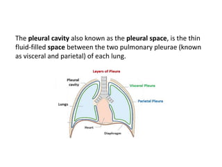PLEURAL EFFUSION lec.pptx