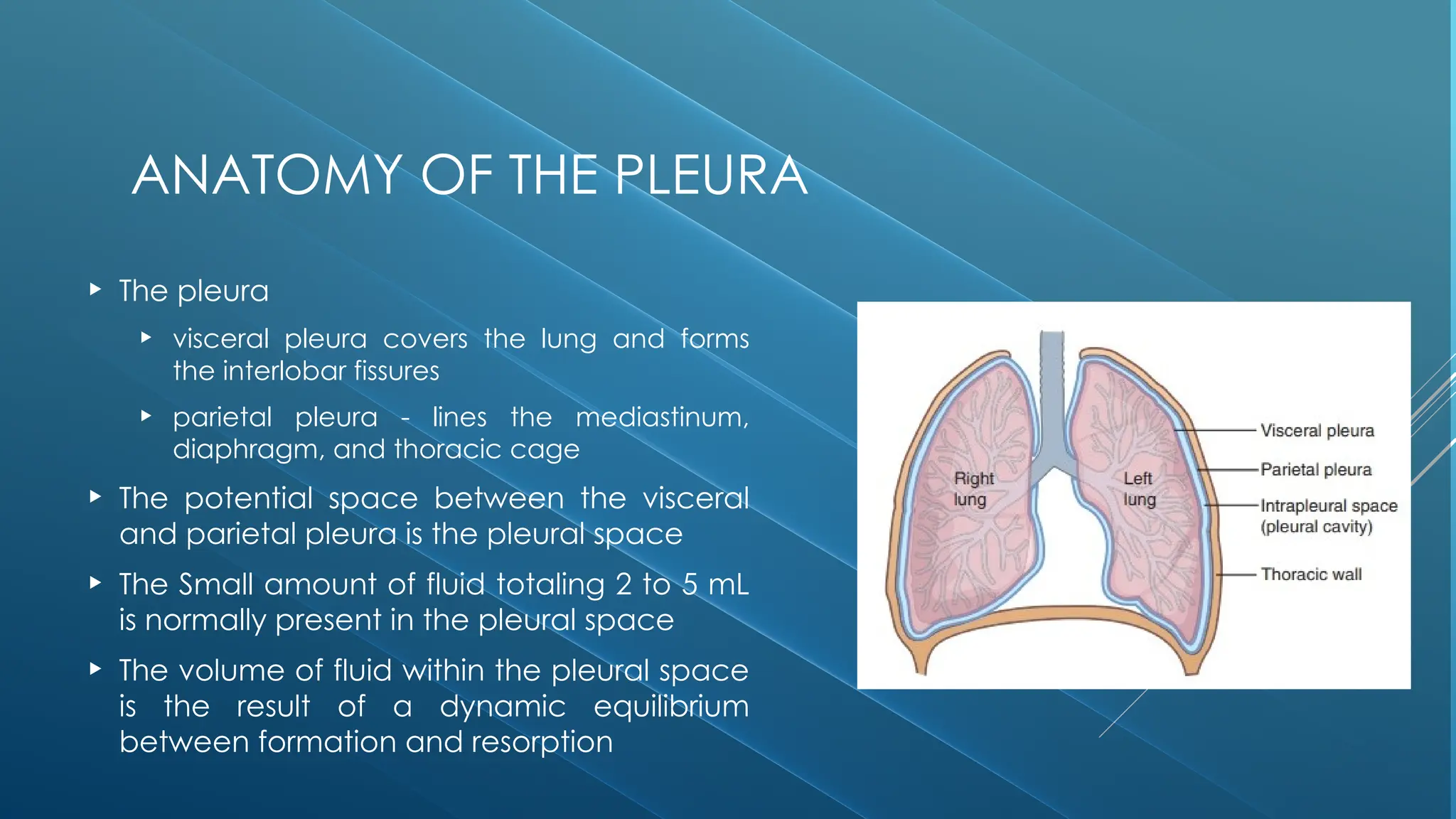 Pleural effusion radiology and anatomy.pptx