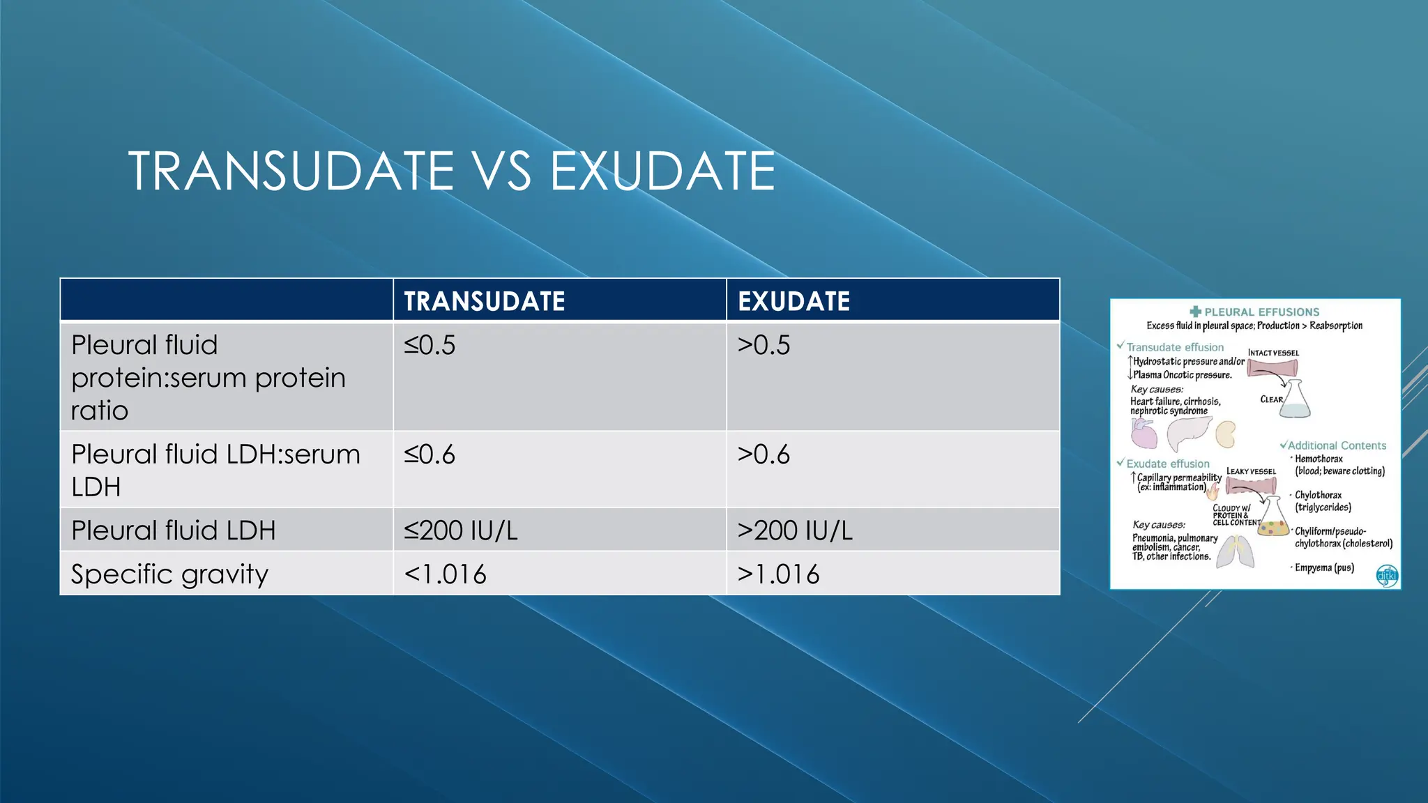 Pleural effusion radiology and anatomy.pptx