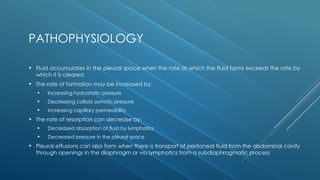 Pleural effusion radiology and anatomy.pptx