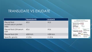 Pleural effusion radiology and anatomy.pptx
