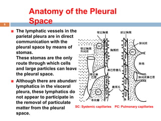 Pleuraleffusions | PPT