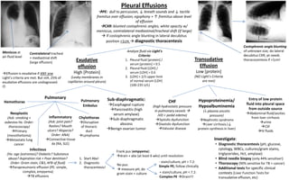 Pleural effusions | PPT