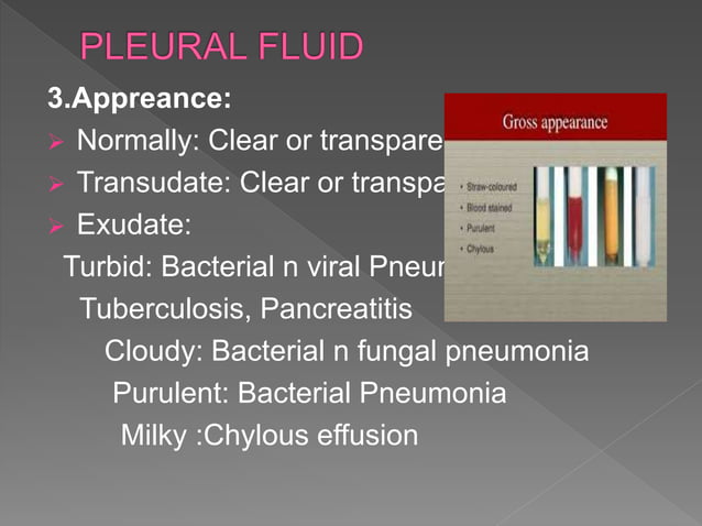 Pleural fluid | PPTX | Lung and Respiratory Health | Diseases and ...