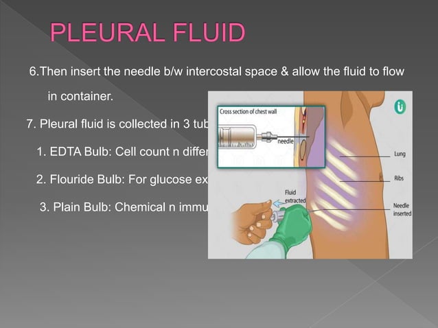 Pleural fluid | PPTX | Lung and Respiratory Health | Diseases and ...