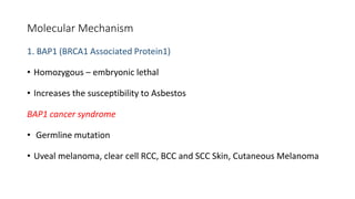 Pleural mesothelioma | PPTX