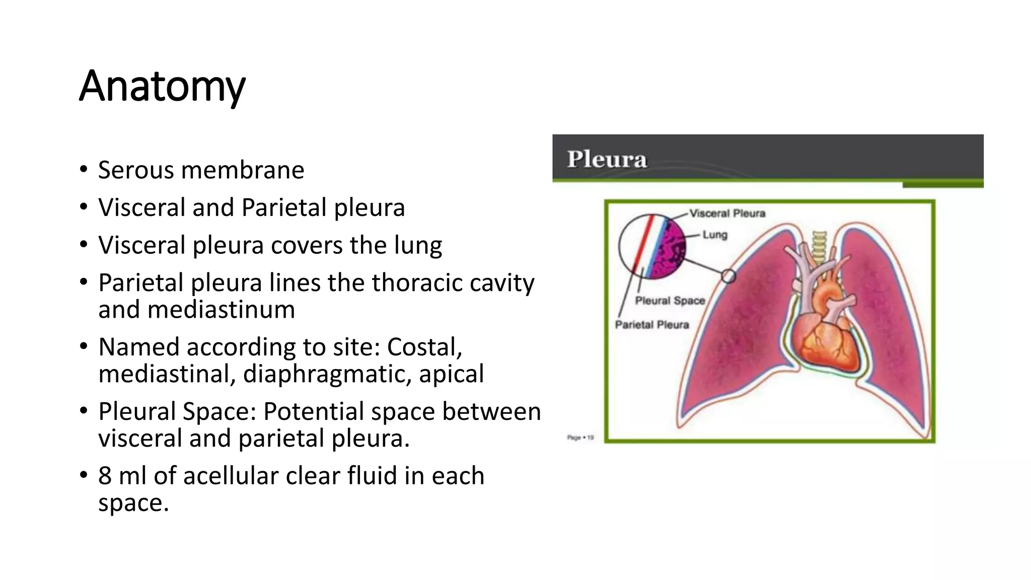 Approach in Pleural pathologies by Dr. Subash Pathak | PPTX
