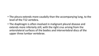 Approach in Pleural pathologies by Dr. Subash Pathak | PPT