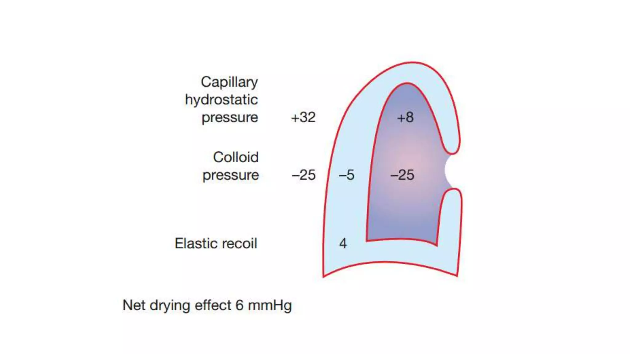 pLEURAL SPACE.pptx