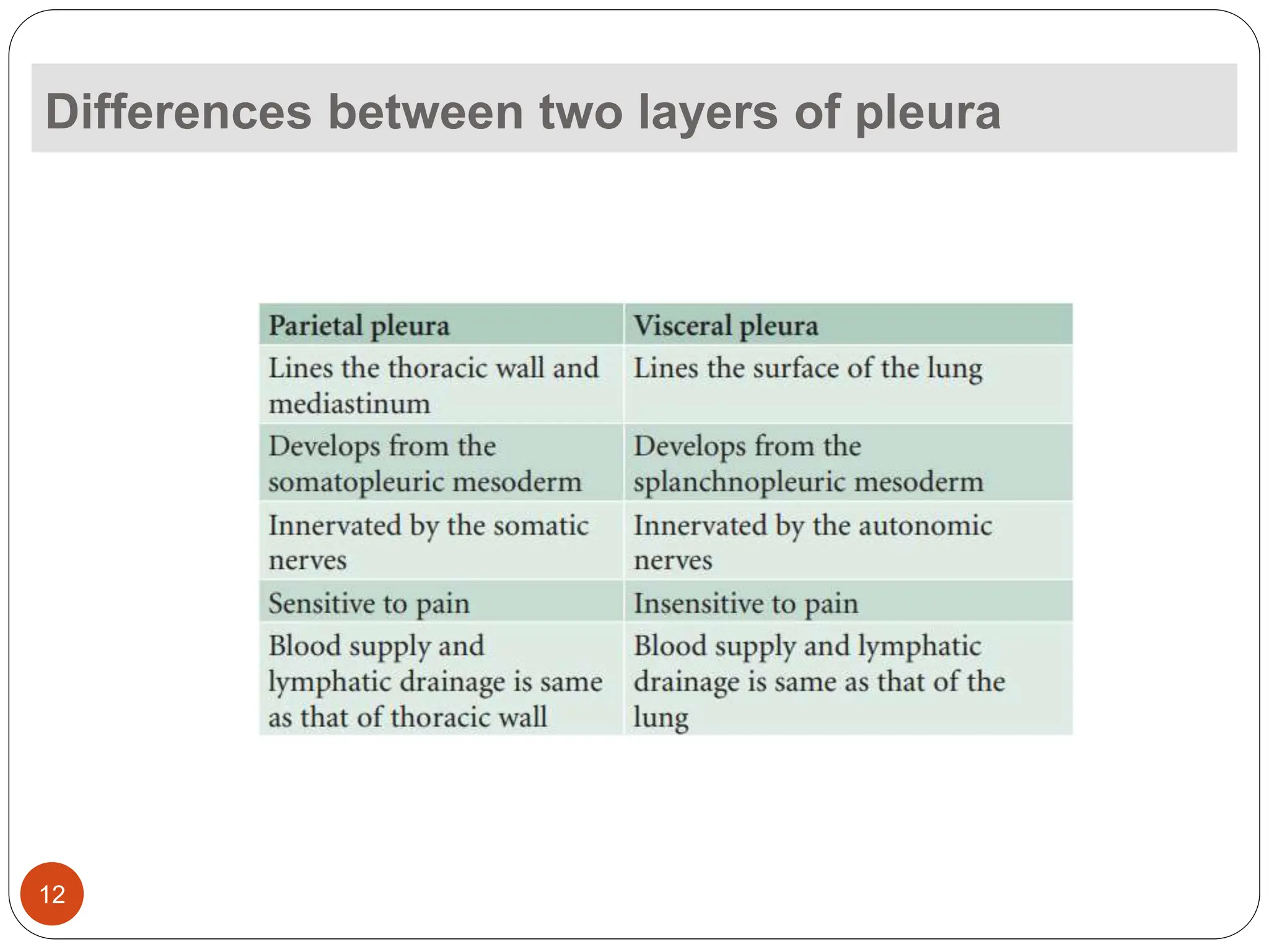 Pleura$lung ppt.pptx assignment of anatomy | PPTX