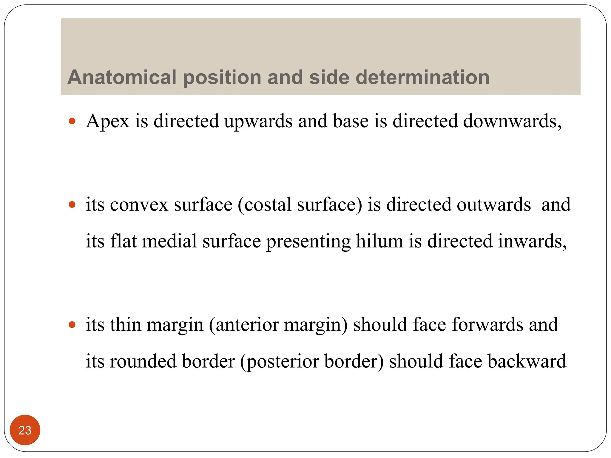 Pleura$lung ppt.pptx assignment of anatomy | PPTX