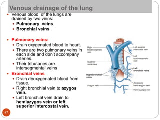 Pleura$lung ppt.pptx assignment of anatomy | PPTX