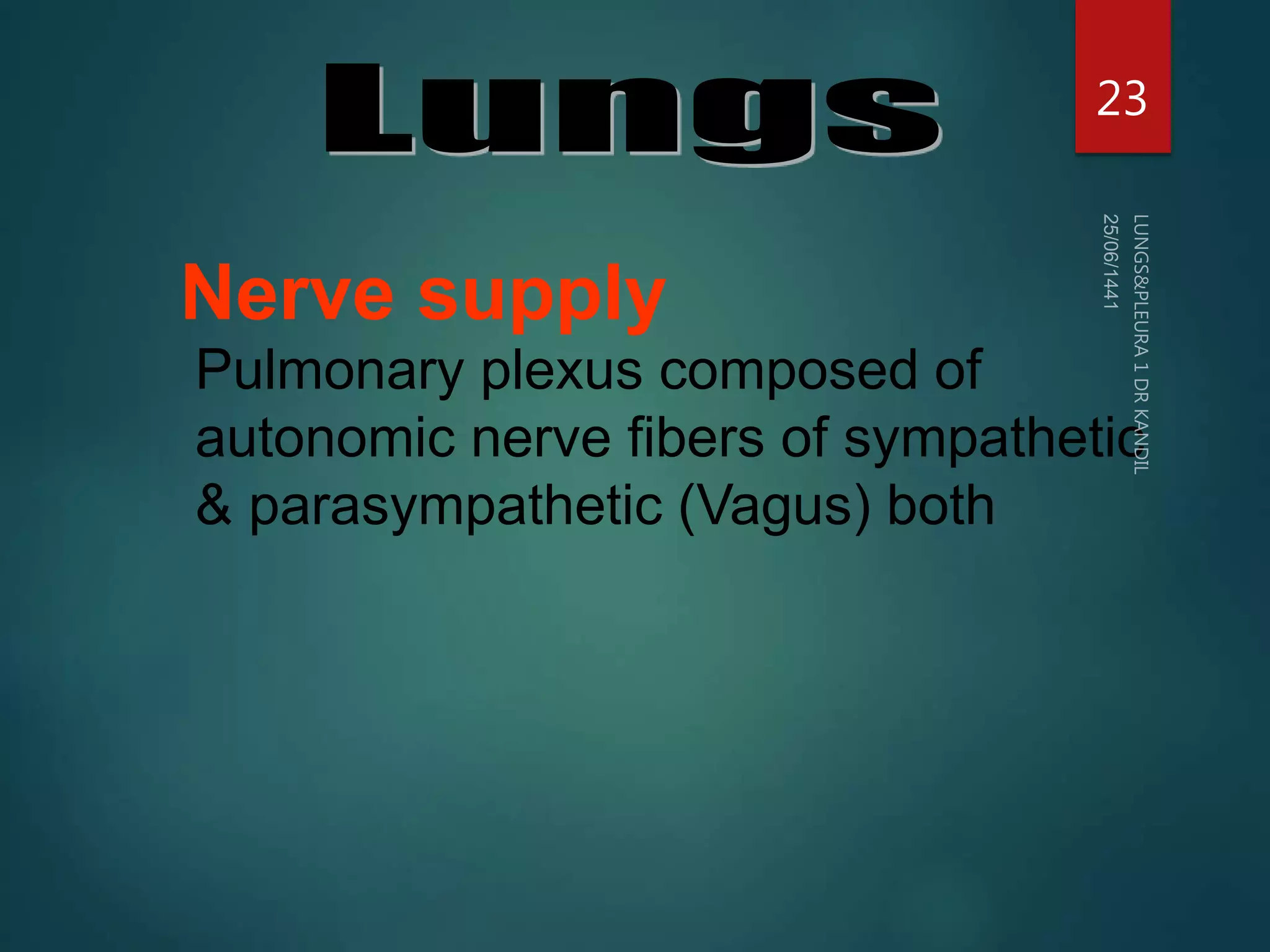 Pleura & lungs 1 l4 dr kandil | PPT