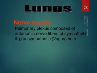 Pleura & lungs 1 l4 dr kandil | PPT
