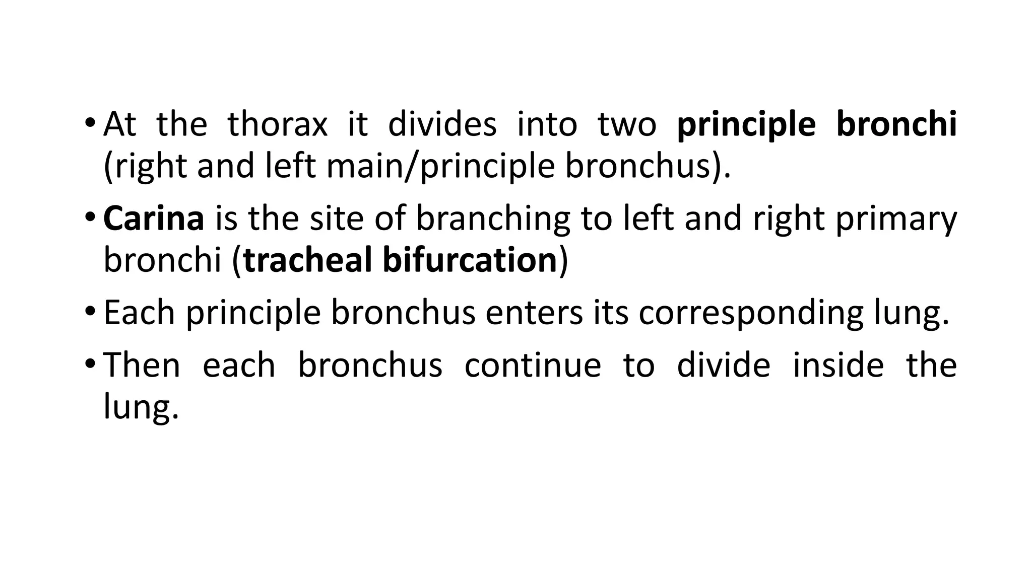 respiratory system anatomy Pleura & Lungs dr khalid.pptx
