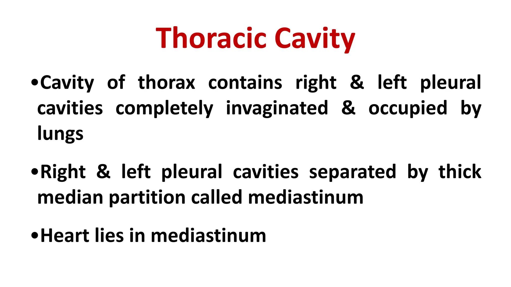 respiratory system anatomy Pleura & Lungs dr khalid.pptx