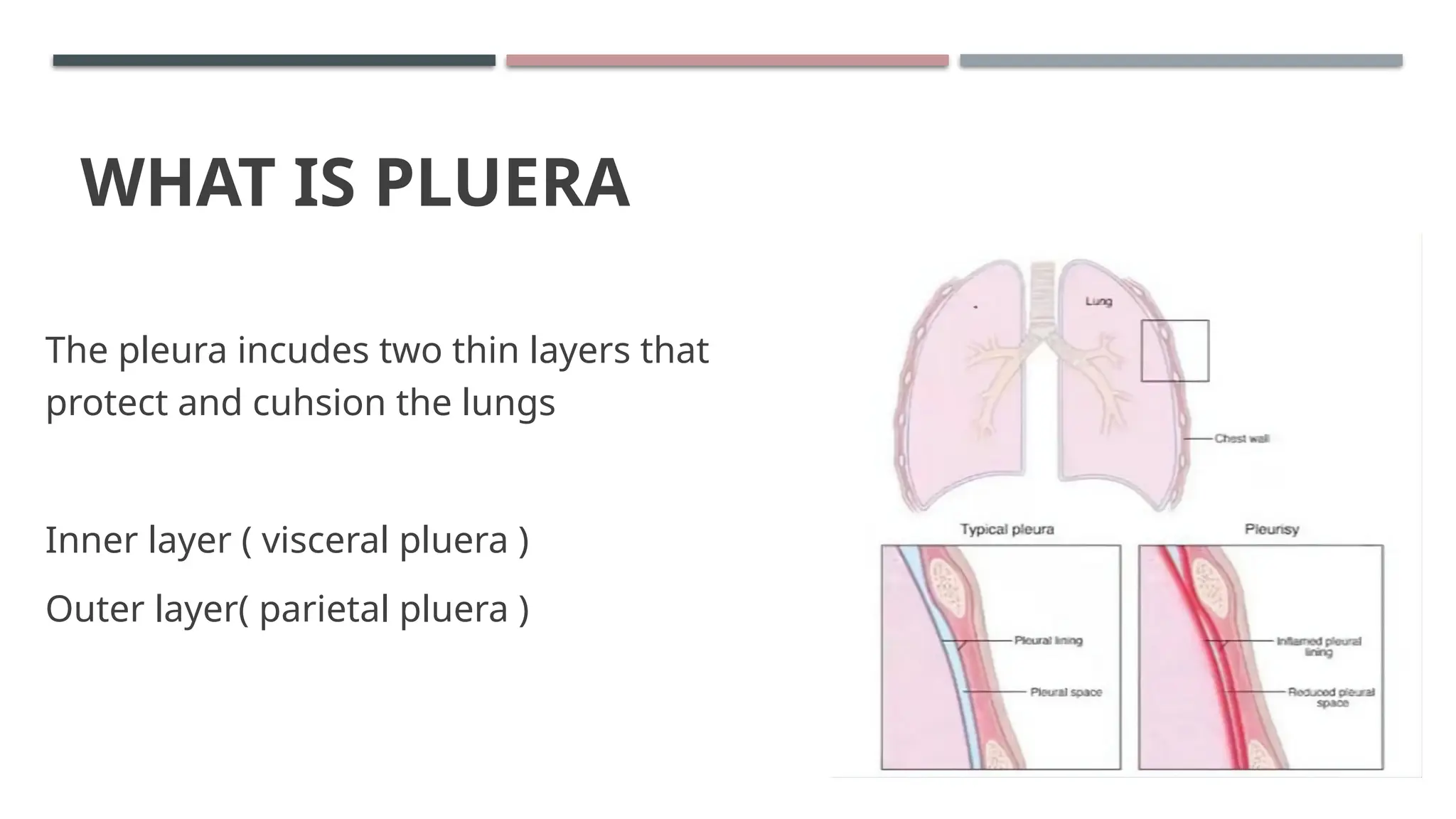 Pleurisy a short overview on this topic . | PPTX