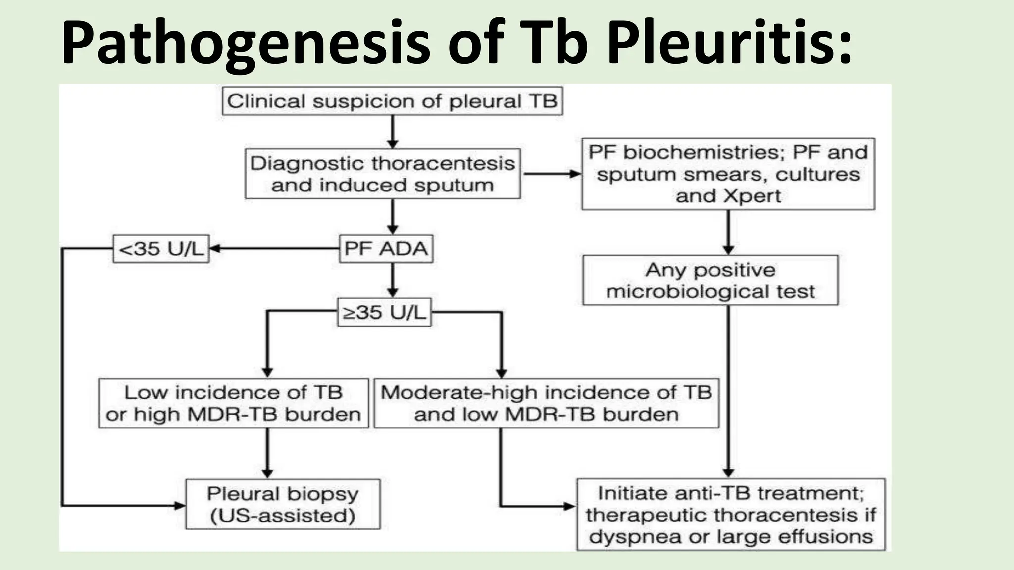 Pleuritis and pleural puncture ppt new by Tanu & Danish.pptx