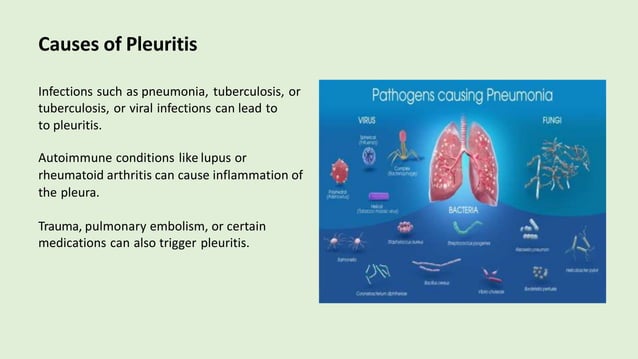 Pleuritis and pleural puncture ppt new by Tanu & Danish.pptx | Lung and ...