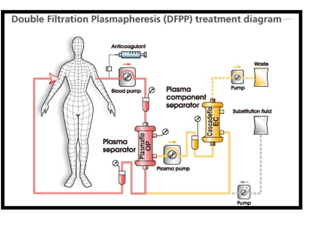 PLEX 2 presentation in liver disease and poisoning | PPT